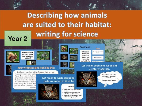 Habitats: writing for science | Teaching Resources