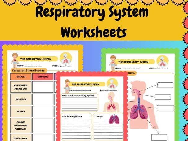 Human Body Systems | Respiratory System | Worksheets and activities ...