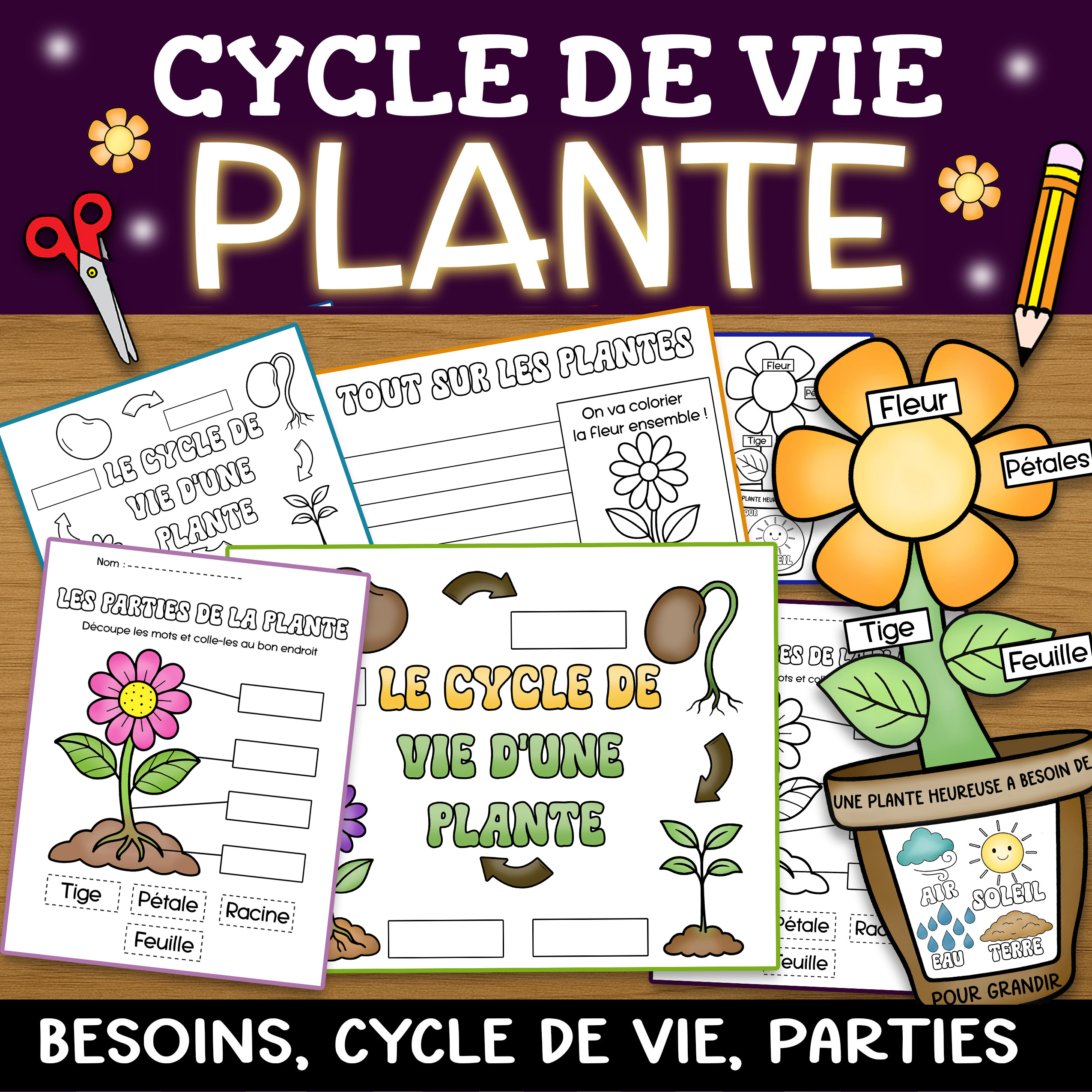 Le Cycle de vie des plantes - Plant Life Cycle Craft in French - Spring ...