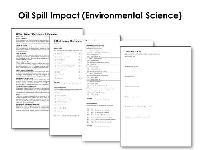 Oil Spill Impact (Environmental Science) | Teaching Resources