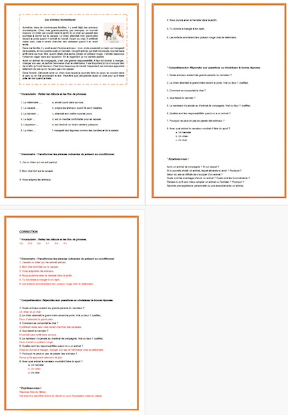 French reading (year 10 or 11 - grade 9 or 10): les animaux domestiques ...