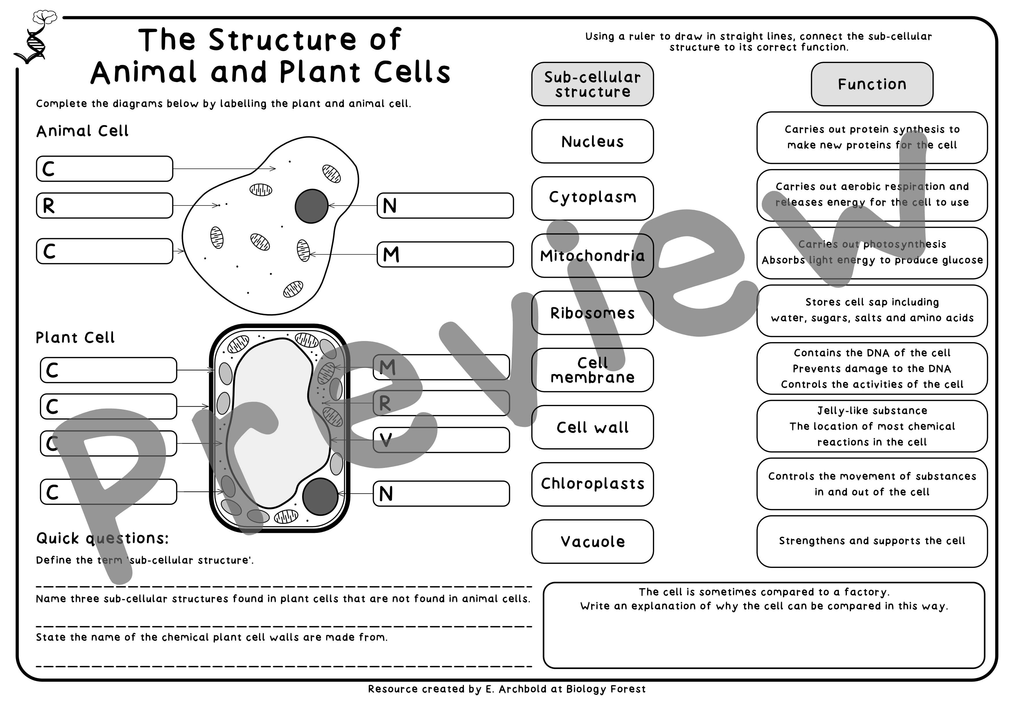 Animal and Plant Cell Structure | GCSE Biology | Teaching Resources