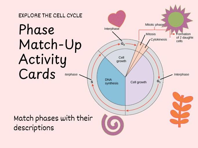 Puzzle : Phase Match-Up | Teaching Resources