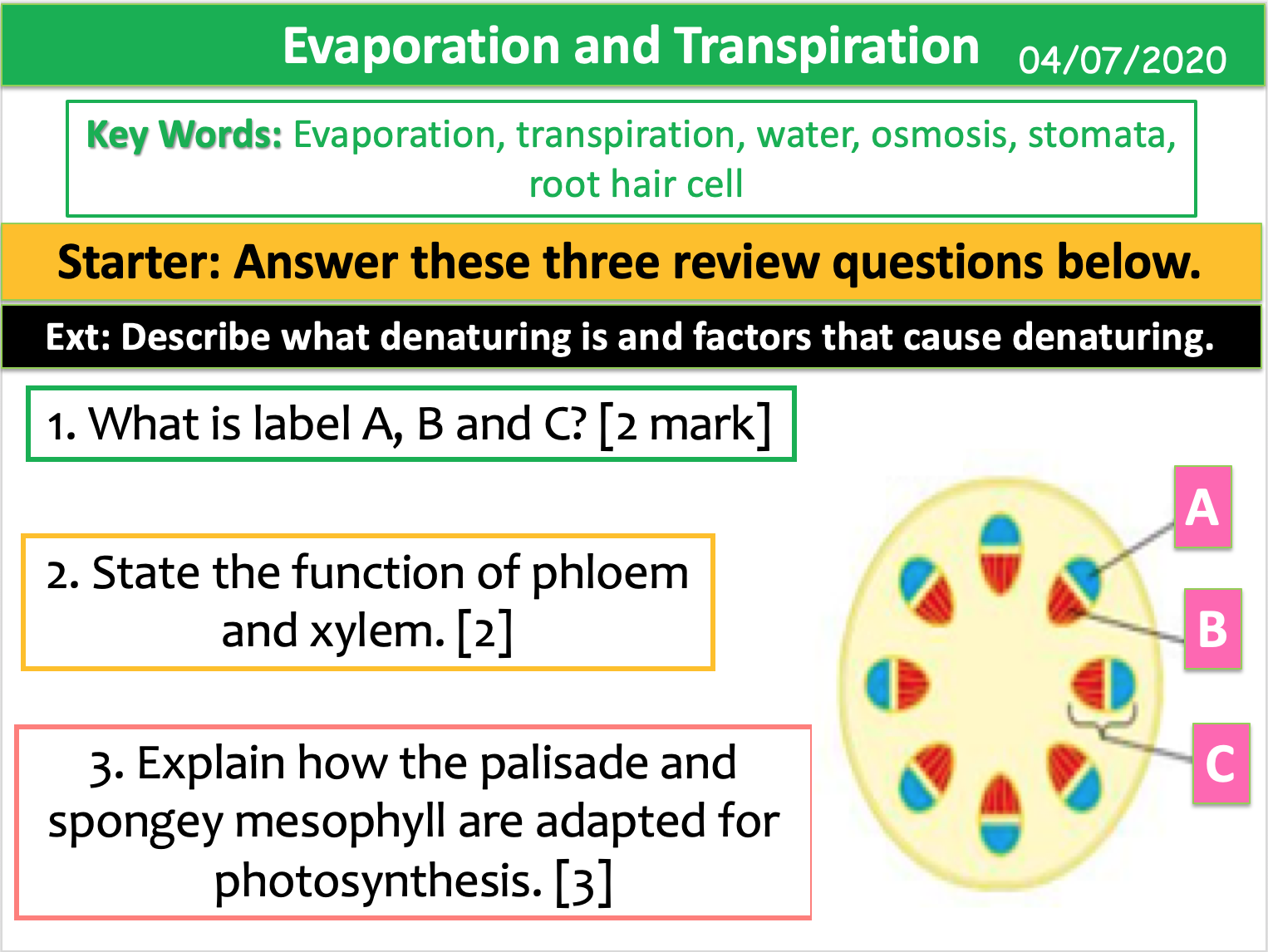 Evaporation and Transpiration | Teaching Resources
