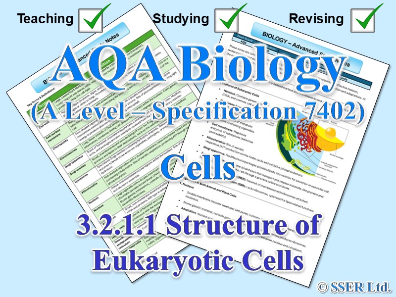 BIOA_AQA Topic Notes: 3.2.1.1 Structure of Eukaryotic Cells | Teaching ...