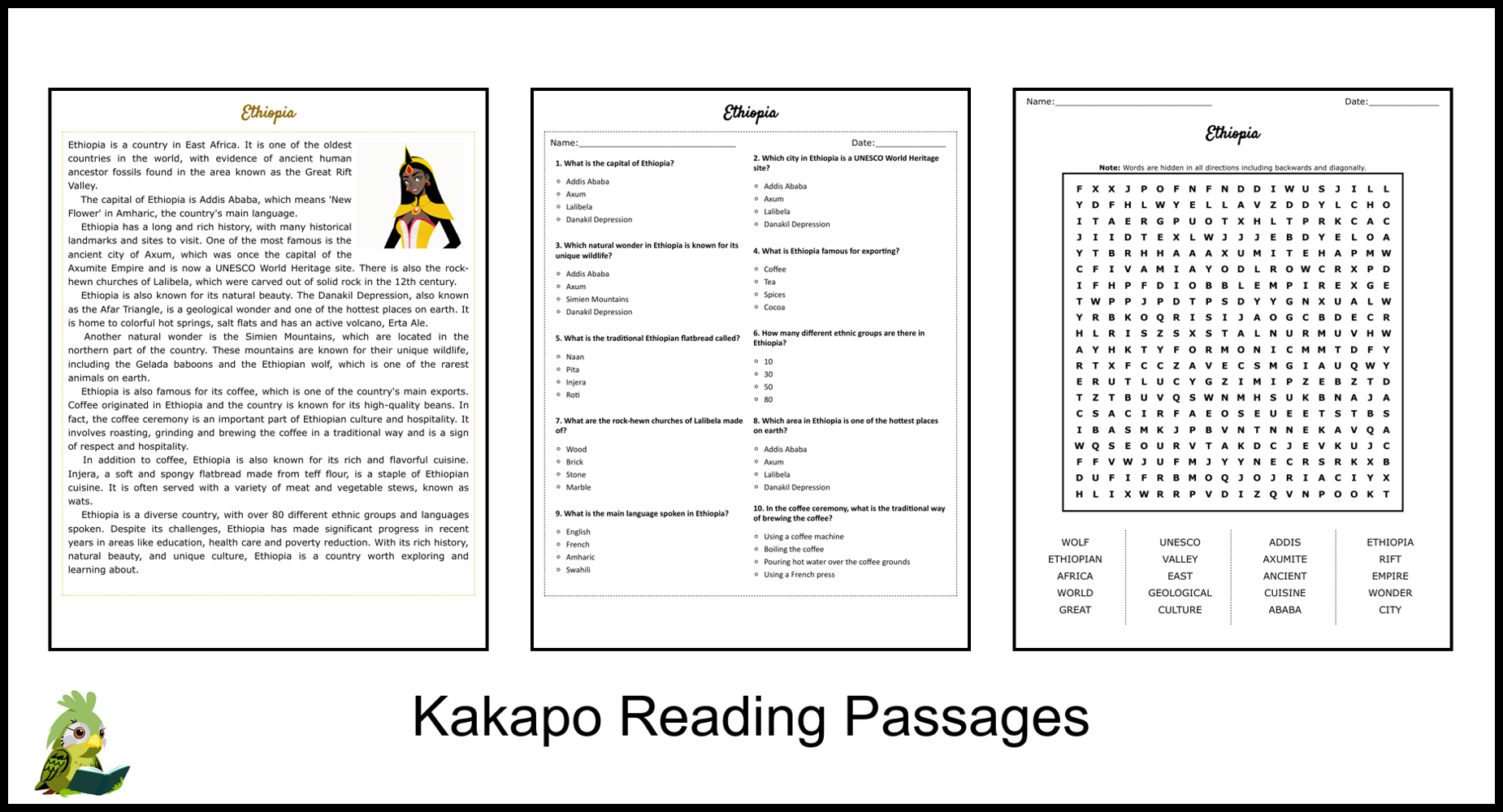 Ethiopia Reading Comprehension and Word Search | Teaching Resources