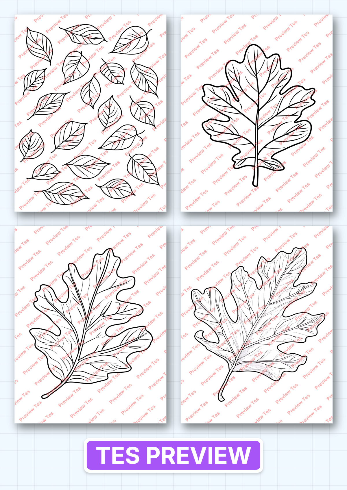 Leaf Coloring Pages | Autumn Leaves Nature Art Activity Worksheets ...