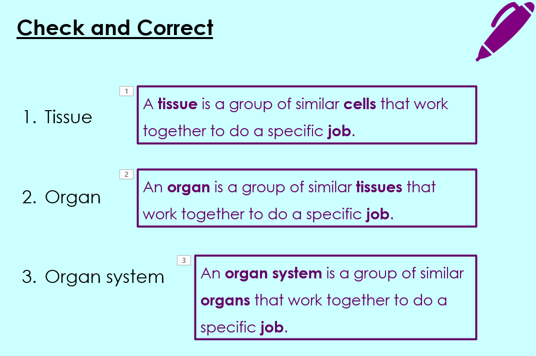 Levels of organisation - KS3 Activate lesson | Teaching Resources