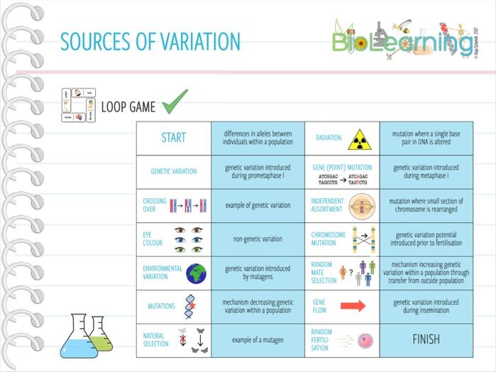 Sources of Variation - Loop Game (KS5) | Teaching Resources