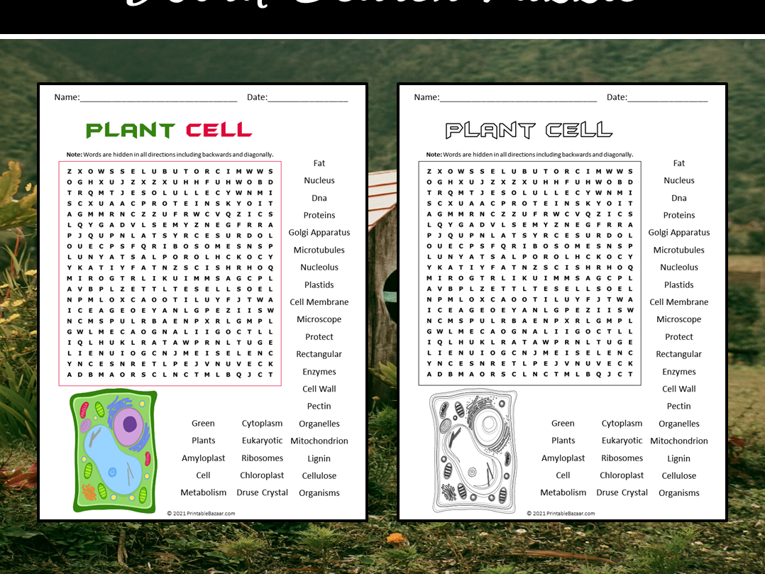 Plant Cell Word Search Puzzle Teaching Resources