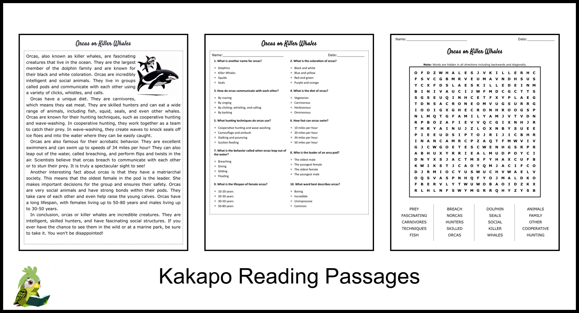 Orcas or Killer Whales Reading Comprehension and Word Search | Teaching ...