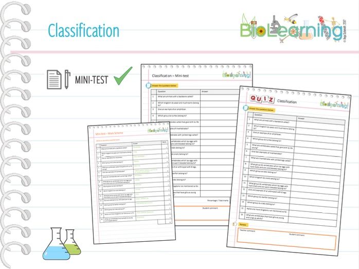 Classification - Mini-test / Quiz (KS3) | Teaching Resources