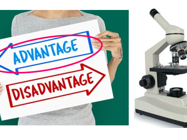 Light and electron microscope and calculations of actual cell size AAQ ...