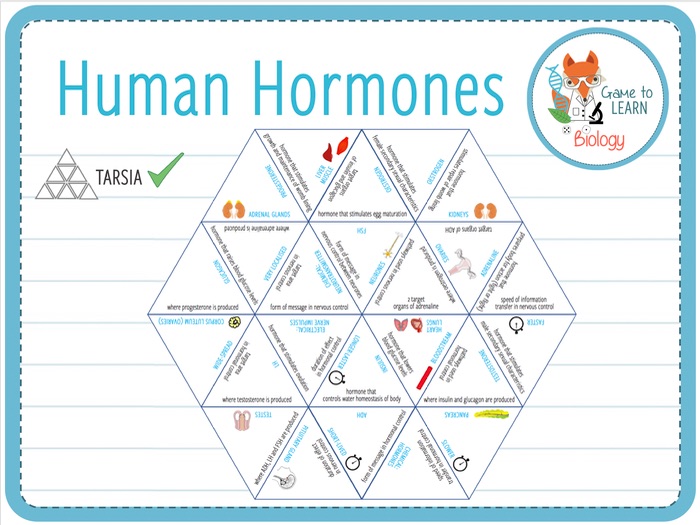 Human hormones - Tarsia (KS3/4) | Teaching Resources