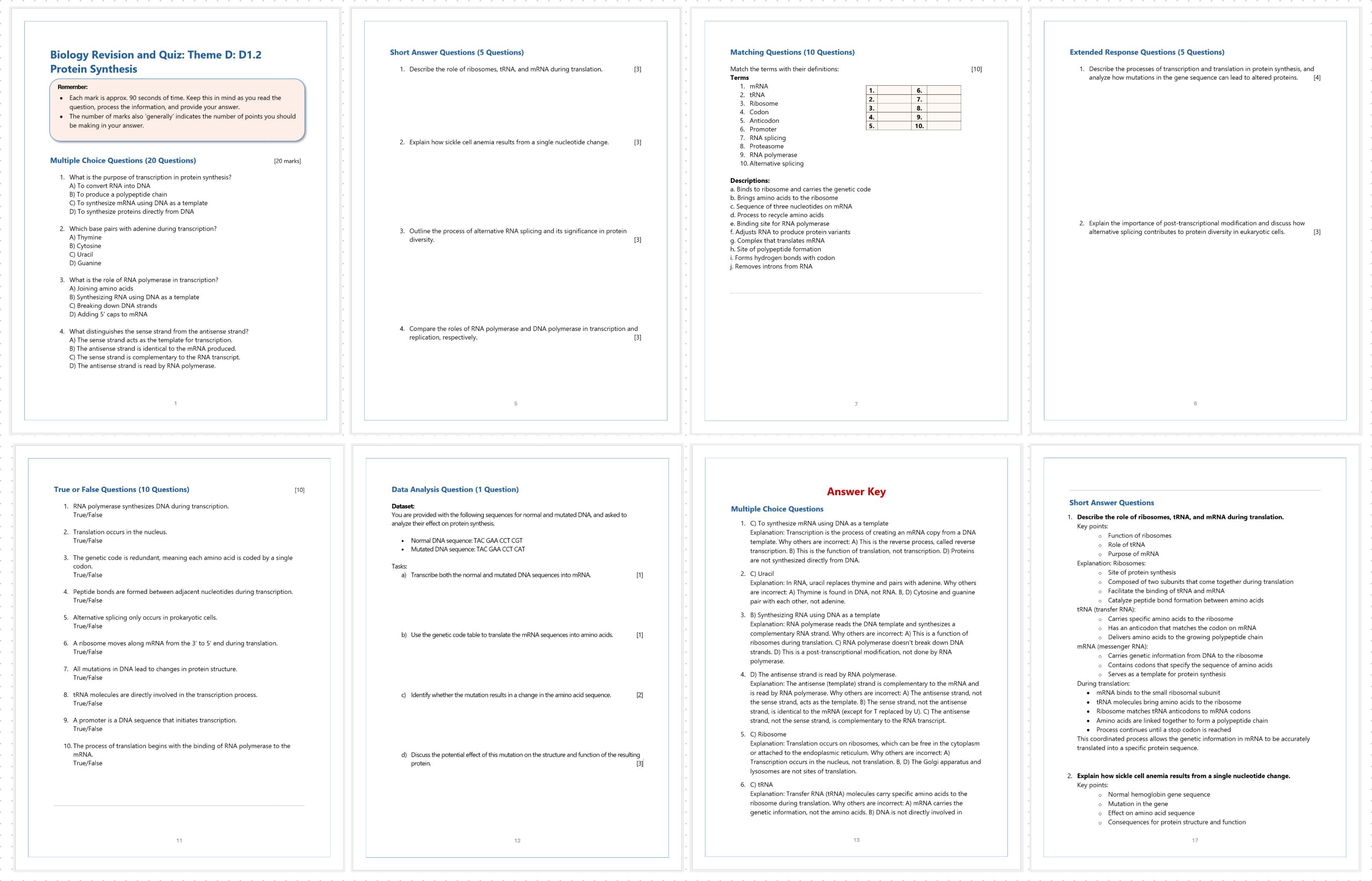 IB DP Biology D1.2 Protein Synthesis Quiz and Revision Worksheets 2026 ...