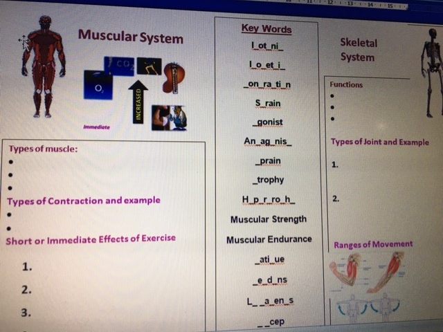 Skeletal and Muscular system revision sheet | Teaching Resources