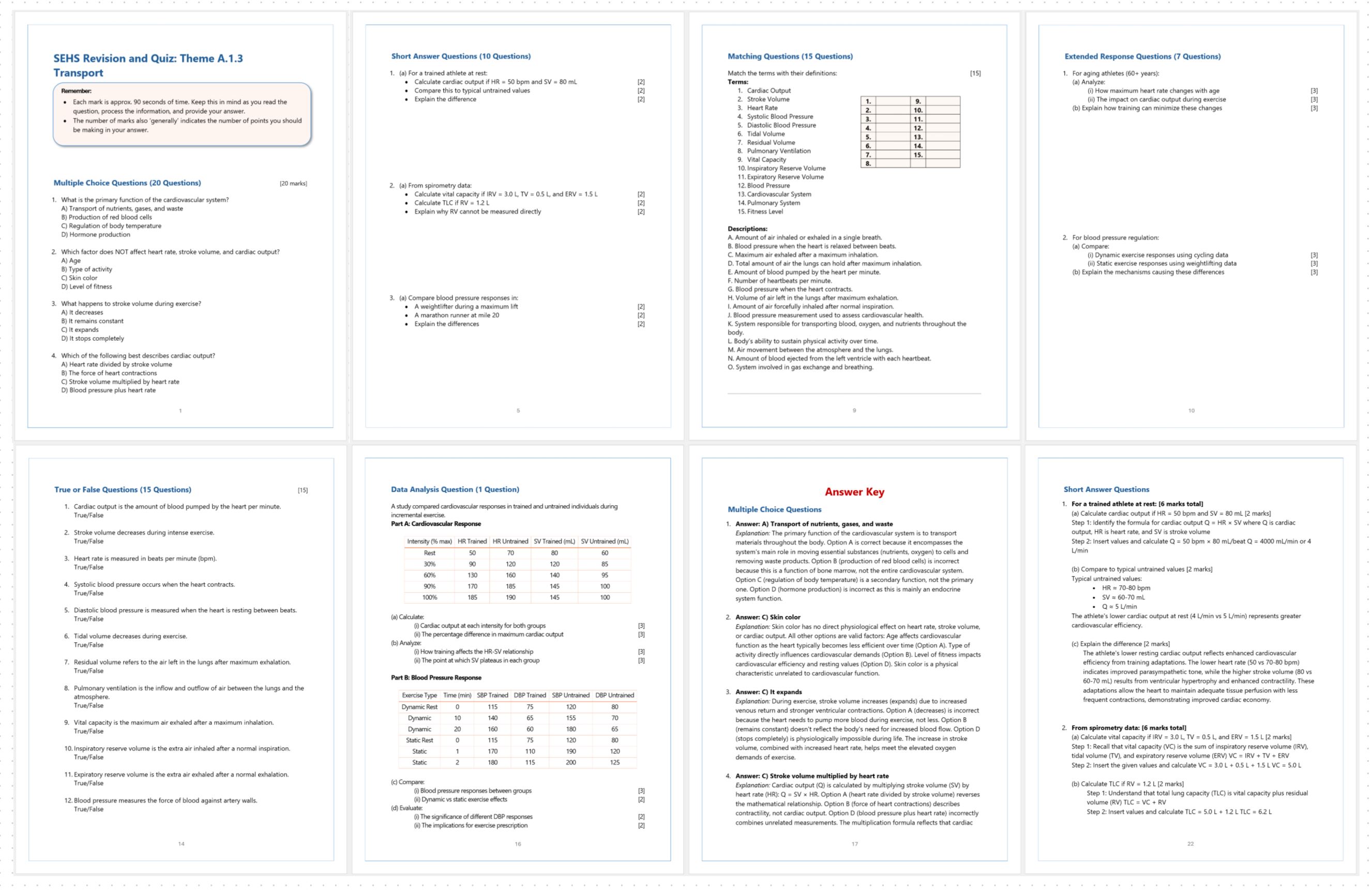 IB DP SEHS: A.1.3 Transport – Quiz & Revision Worksheets (2026 ...
