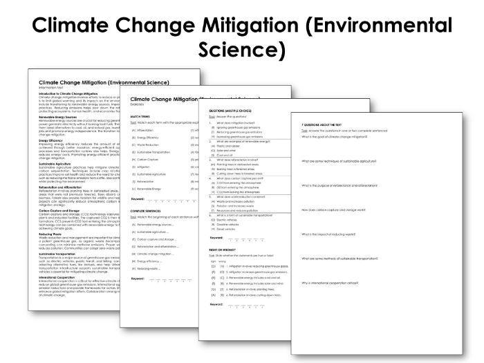 Climate Change Mitigation (Environmental Science) | Teaching Resources