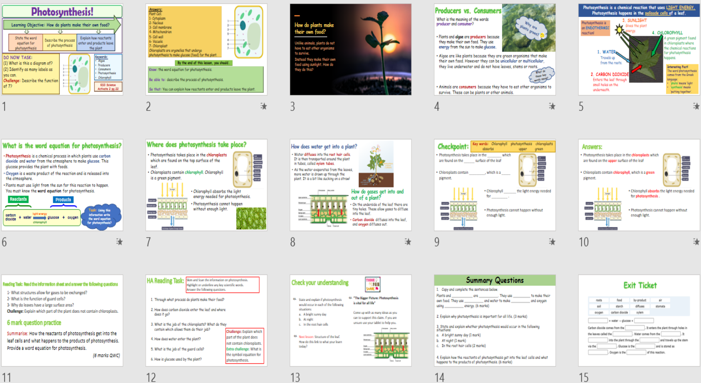 Photosynthesis KS3 Activate Science | Teaching Resources