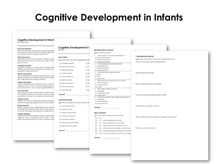 Cognitive Development in Infants | Teaching Resources
