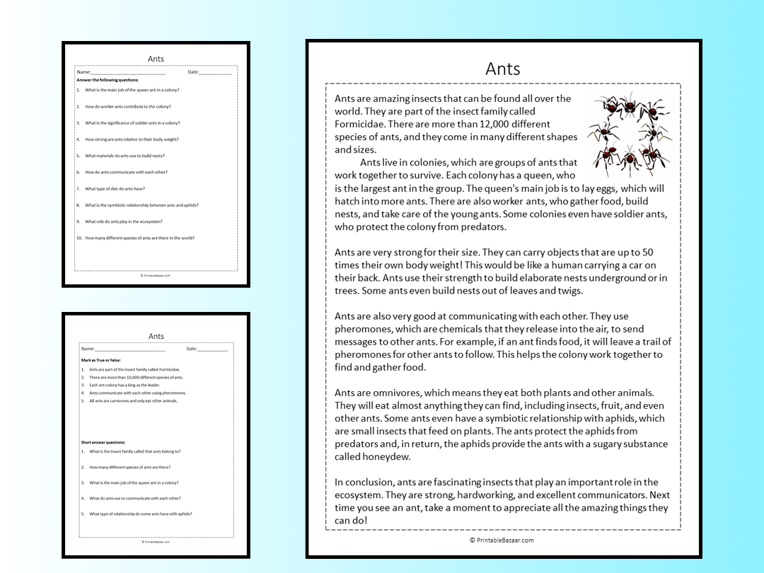 Ants Reading Comprehension Passage Printable Worksheet | Teaching Resources
