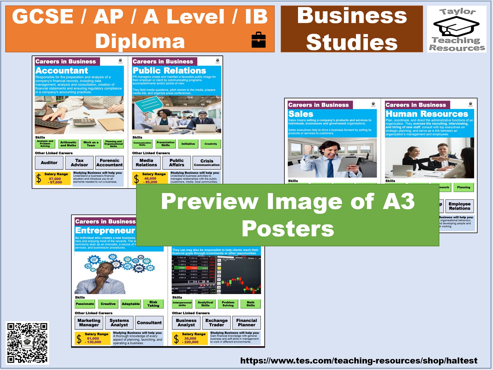 Business Careers - A3 Classroom Poster Pack | Teaching Resources