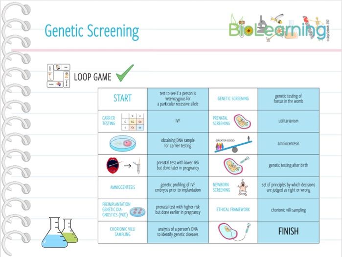 Genetic Screening - Loop Game (KS5) | Teaching Resources