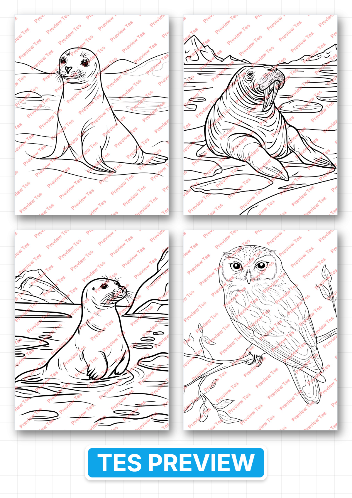 Arctic Animals Colouring Pages | 40 Polar Wildlife Designs | Primary ...