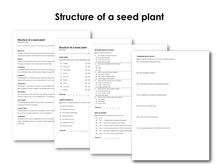 Structure of a seed plant | Teaching Resources