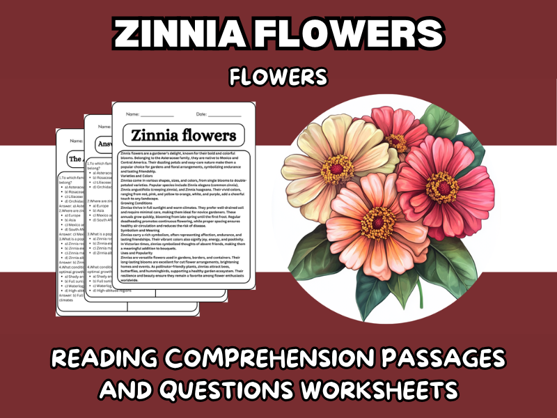 Zinnia Flowers - Flowers Reading Comprehension Passages & Questions ...