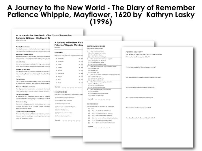 A Journey to the New World - The Diary of Remember Patience Whipple ...