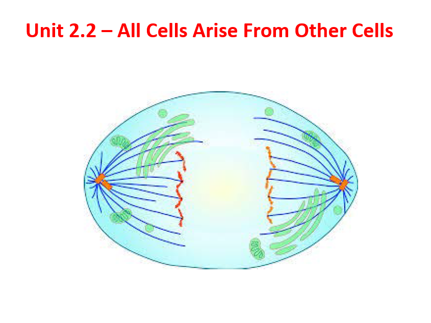 Secondary biology resources