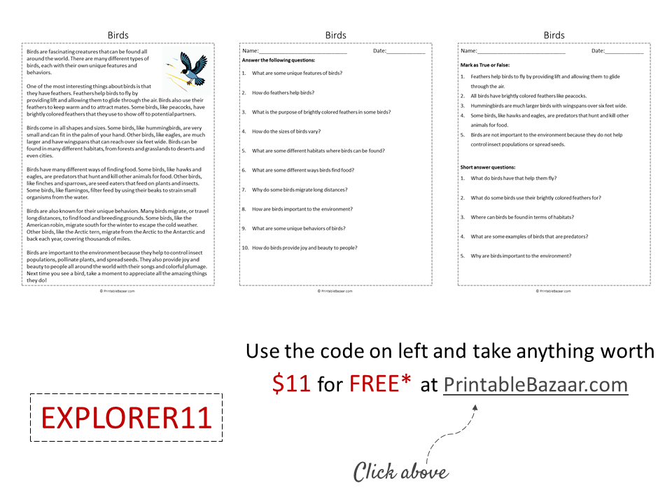 Birds Reading Comprehension Passage Printable Worksheet | Teaching ...