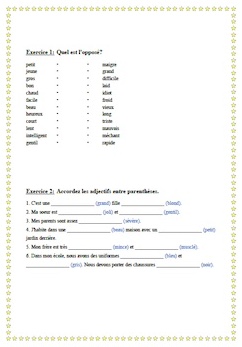 les adjectifs (adjectives in French) | Teaching Resources