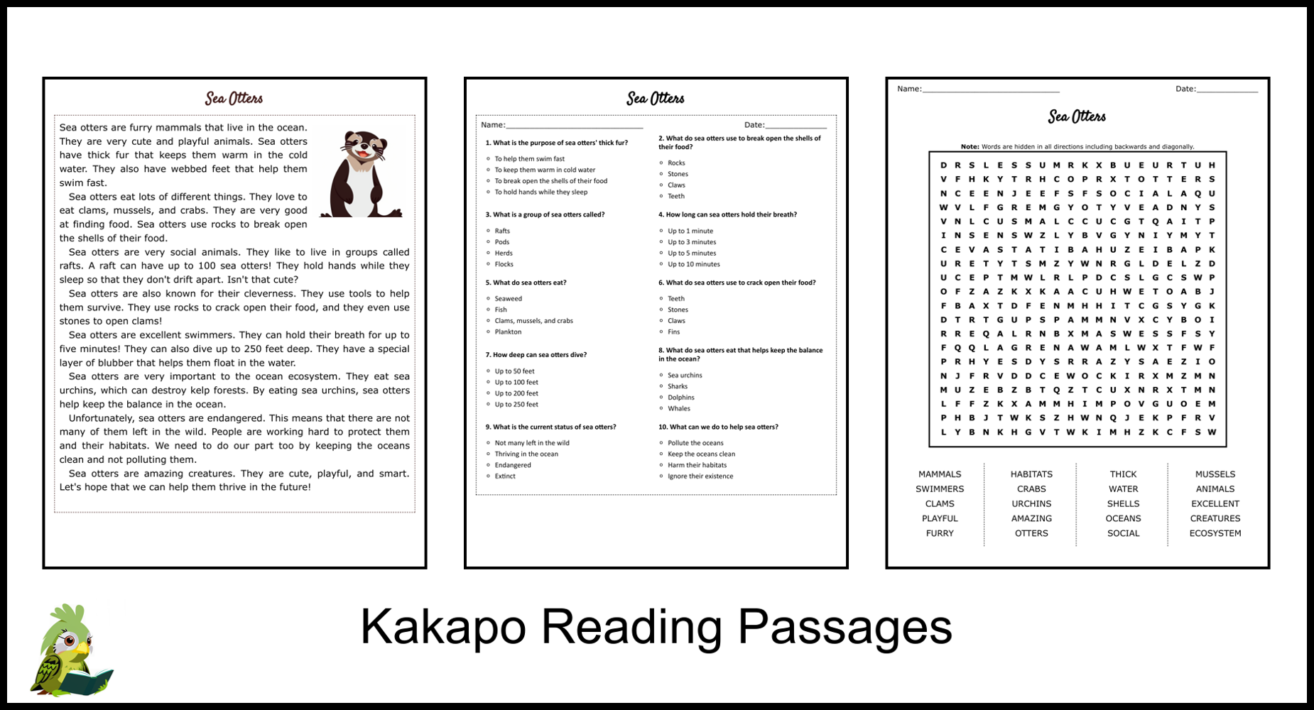 Sea Otters Reading Comprehension and Word Search | Teaching Resources