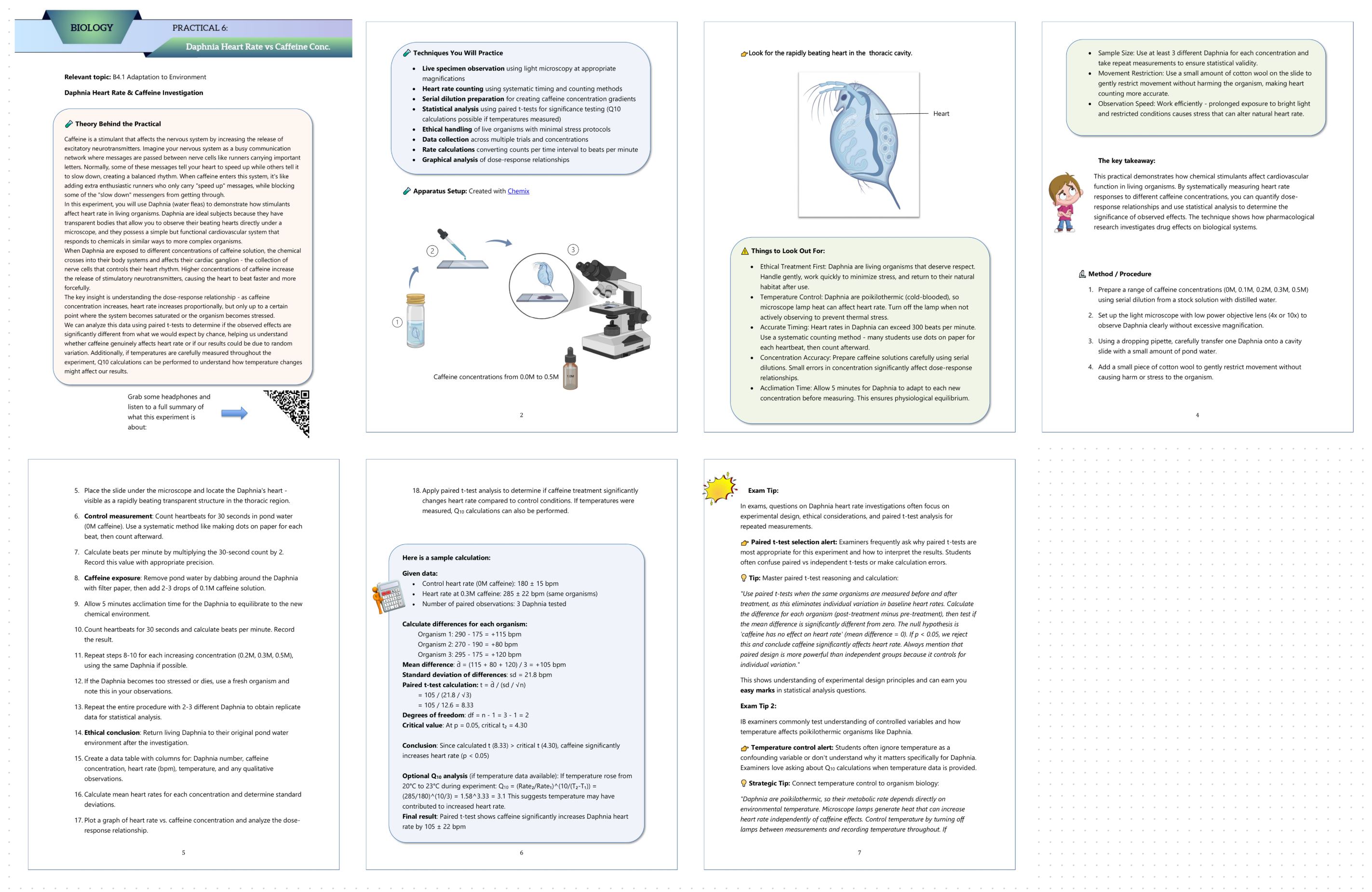 IB DP Biology Daphnia Heart Rate & Caffeine Lab Notes 2026 | Teaching ...