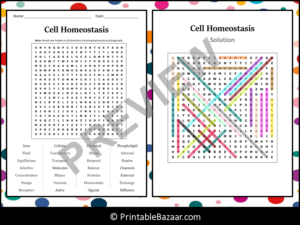Cell Homeostasis Word Search Puzzle Worksheet Activity | Teaching Resources