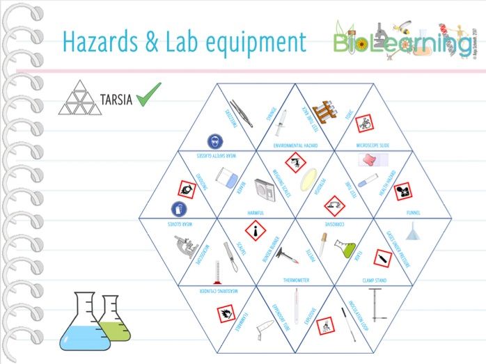 Secondary Biology Resources: Biology Lessons for KS3, KS4, GCSE | Tes