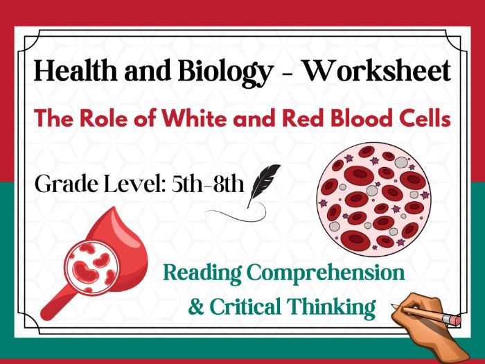 The Role of White and Red Blood Cells: Reading Comprehension Passages ...