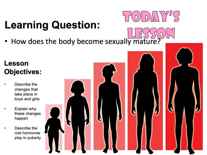 Puberty and Hormones | Teaching Resources