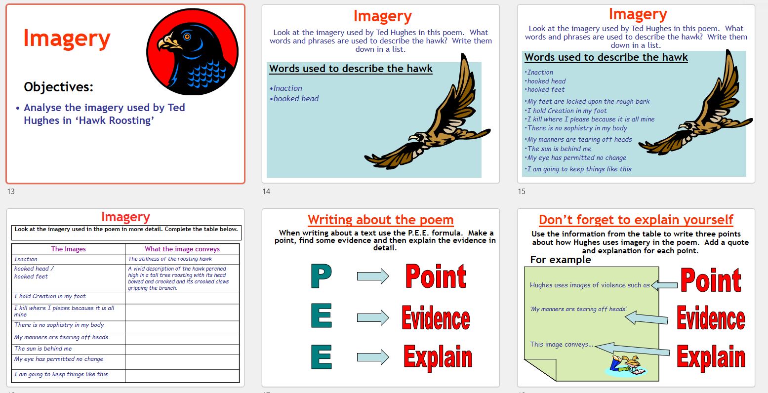 Hawk Roosting by Ted Hughes | Teaching Resources