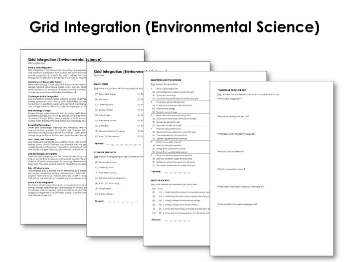 Grid Integration (Environmental Science) | Teaching Resources