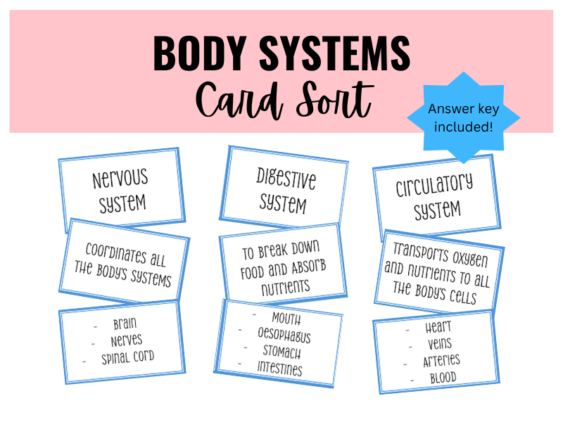 Body Systems Card Sort Activity | Teaching Resources
