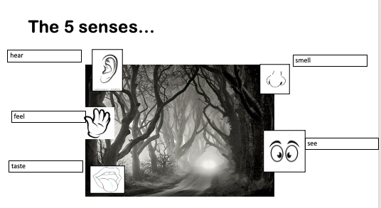 Horror Narrative Writing with Grammar focus | Teaching Resources