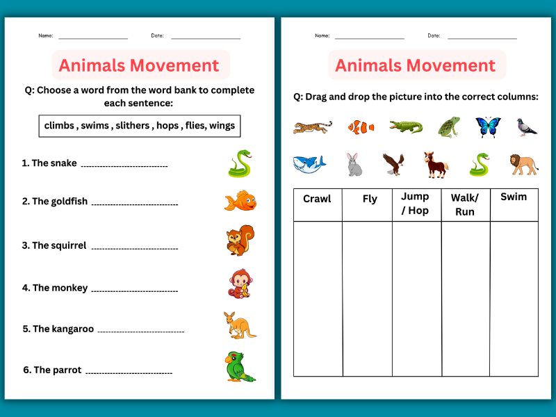 Kindergarten Pictures Of Animals Images Vrogue co Kindergarten Pictures Of Animals Images Vrogue co