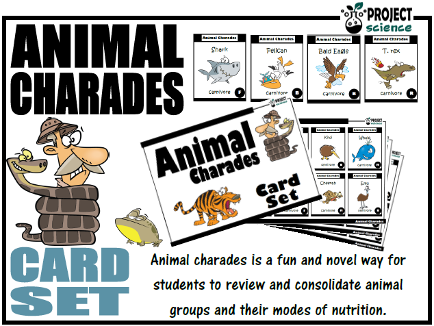 Animal Charades | Teaching Resources
