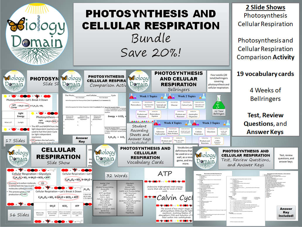 Photosynthesis and Cellular Respiration Bundle by BiologyDomain ...