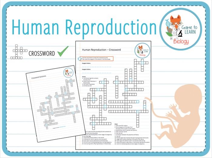 Human Reproduction Crossword KS3 Teaching Resources Human Reproduction Crossword KS3 Teaching Resources