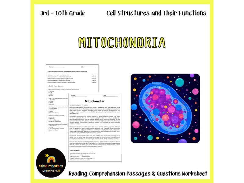 Mitochondria Reading Comprehension Passages & Questions Worksheets ...