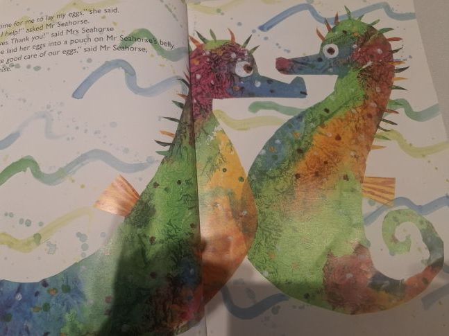 Mister Seahorse by Eric Carle | Teaching Resources